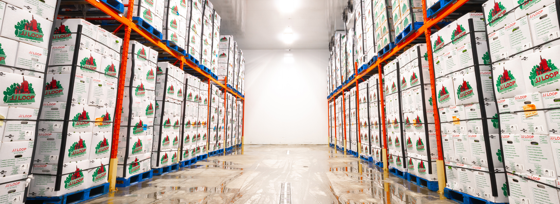 JJ Loop – Welcome to fruitdome.com