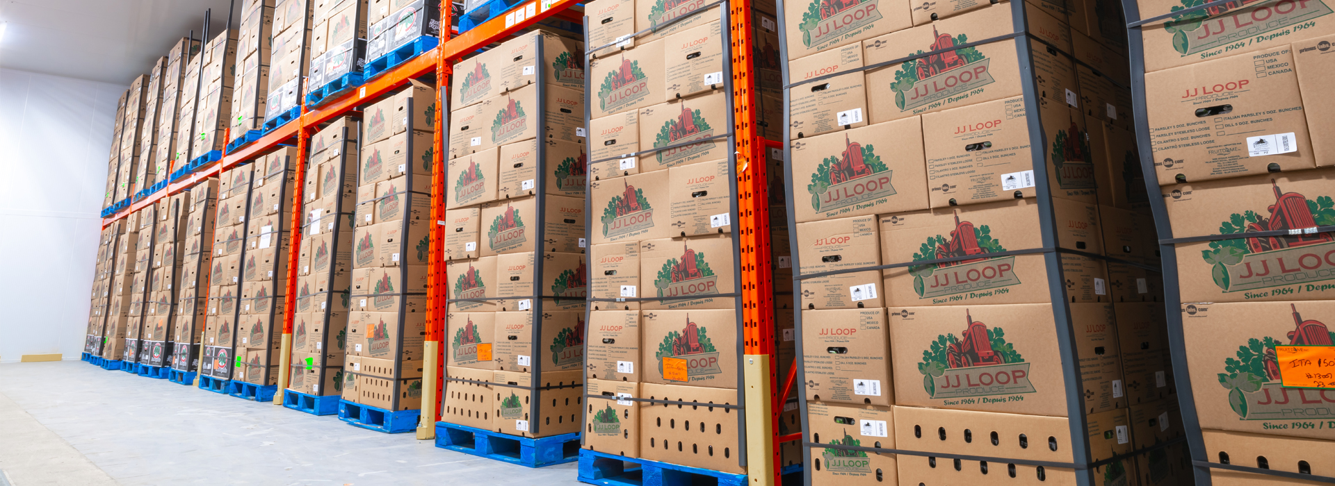 JJ Loop – Welcome to fruitdome.com