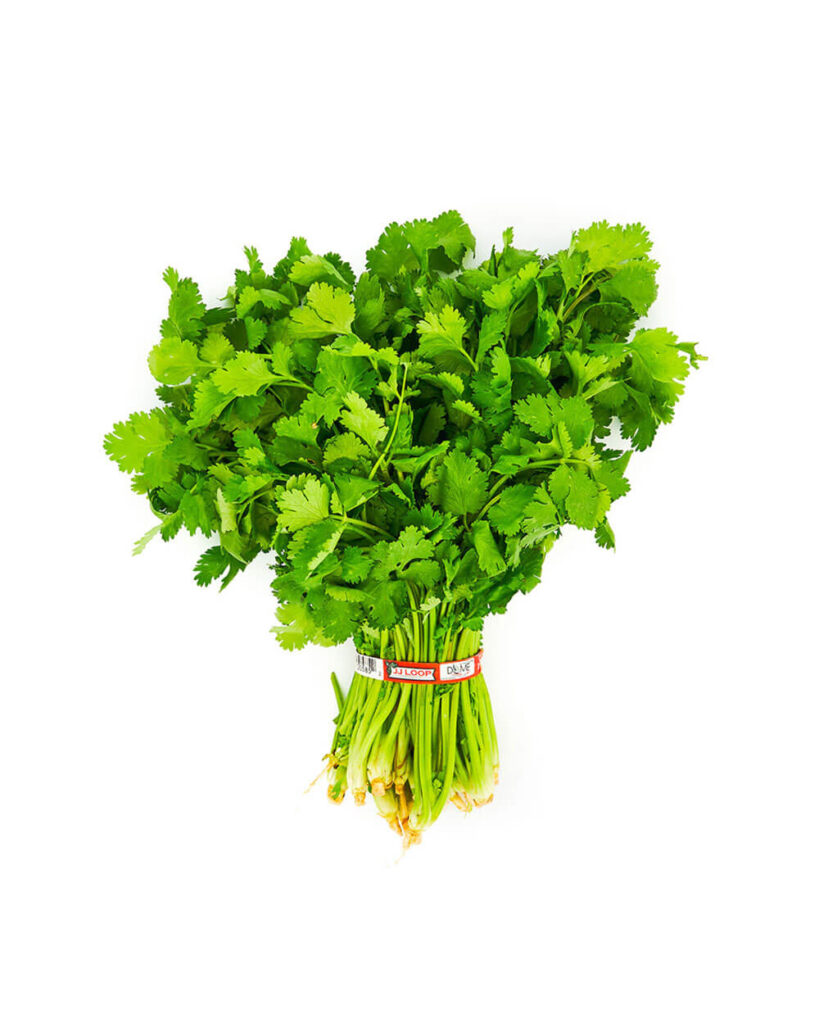 Coriandre – Welcome to fruitdome.com